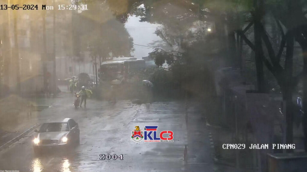 National Landscape Dept told to identify trees suitable for urban areas — Nga | KL Property Talk